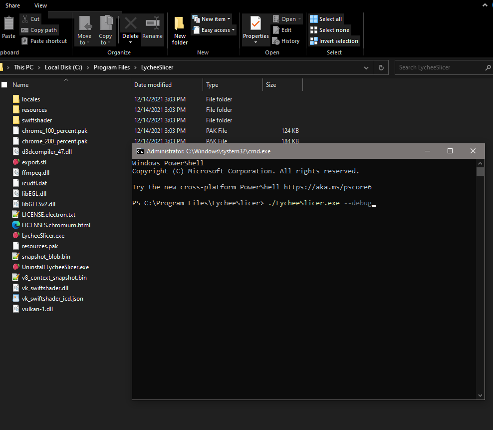 How to get a log from Lychee Slicer? – Lychee Documentation