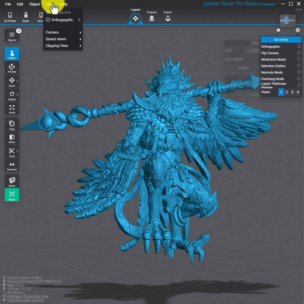 View Options – Lychee Documentation
